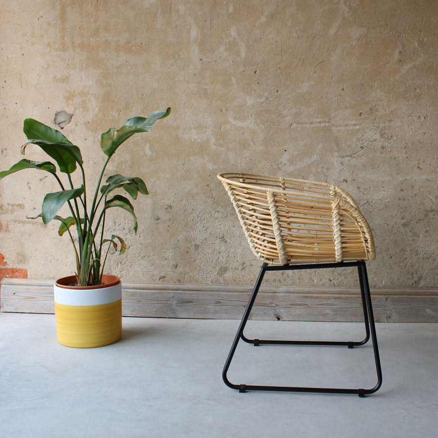 Emil Natural Rattan Cane Dining Chair – The Rattan Company