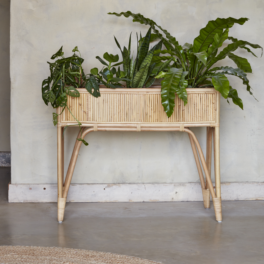 Sulawesi Indoor Rattan Planter – The Rattan Company